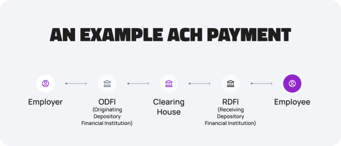 What Is an ACH Payment and Why Does It Matter for Business? | Transferra